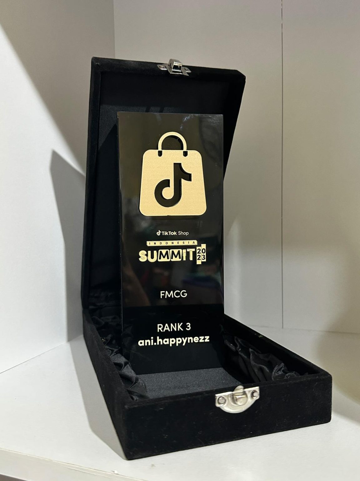 Ani Happynezz Wins FMCG TOP 3 Position At TikTok Shop Summit 2023 - DCT Agency